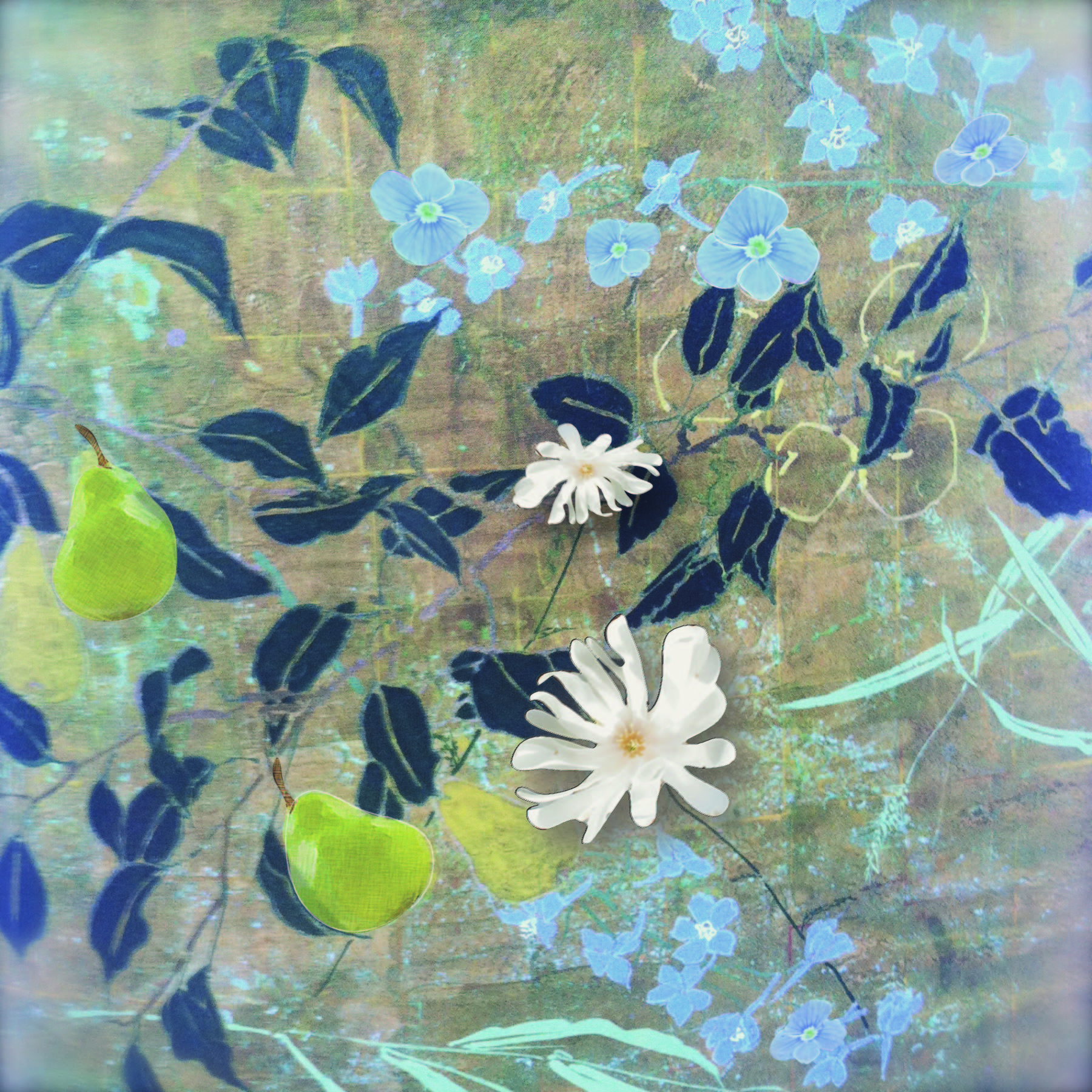 spark & museLISA LILLIBRIDGE