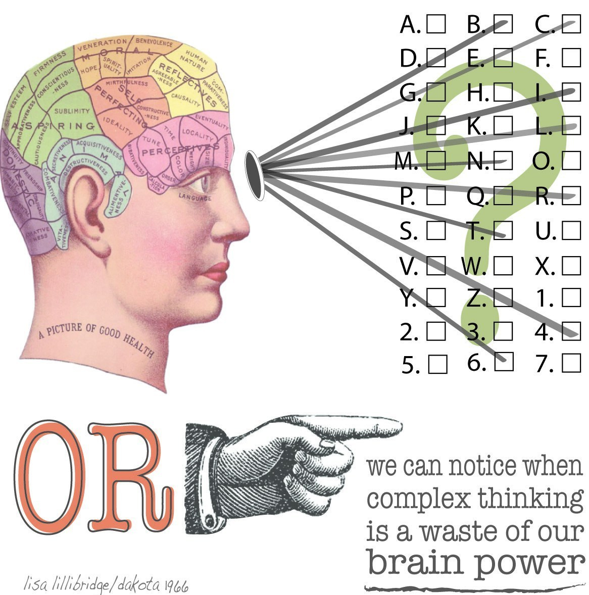 spark & museLISA LILLIBRIDGE