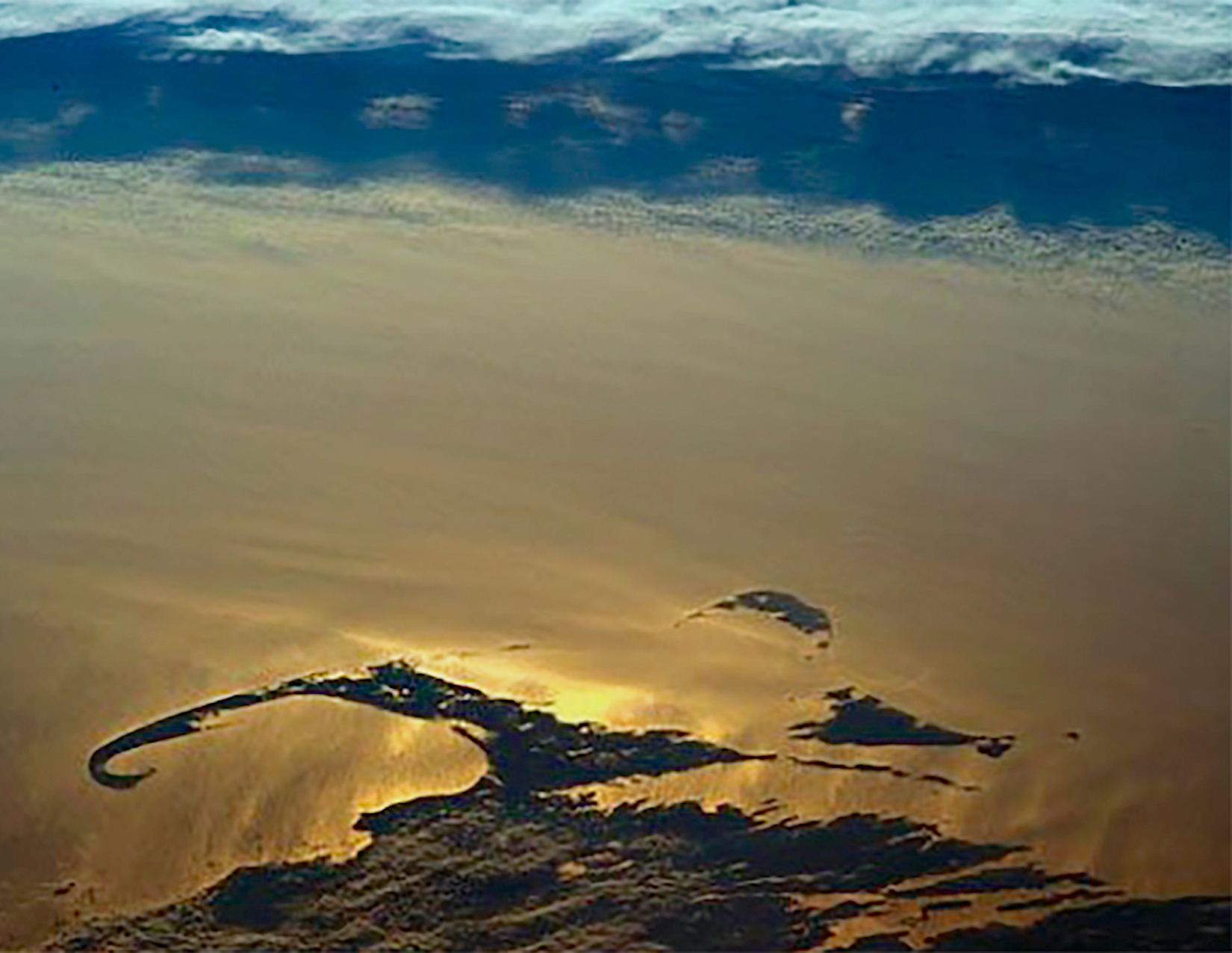 spark & museLISA LILLIBRIDGE